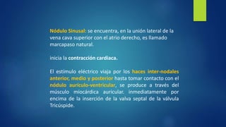 Circulacion fetal y neonatal | PPTX