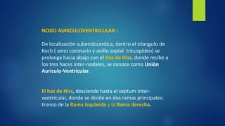 Circulacion fetal y neonatal | PPTX
