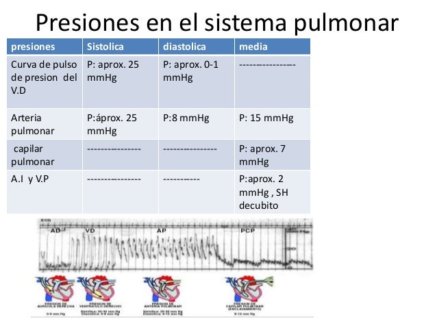 Circulacion pulmonar