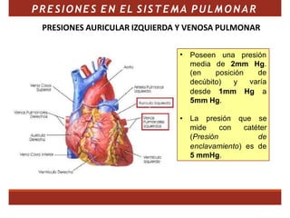 Circulacion Pulmonar.pptx
