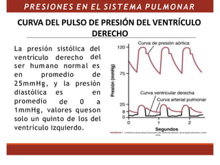 Circulacion Pulmonar.pptx