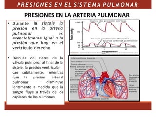 Circulacion Pulmonar.pptx