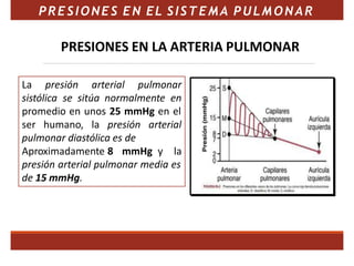 Circulacion Pulmonar.pptx