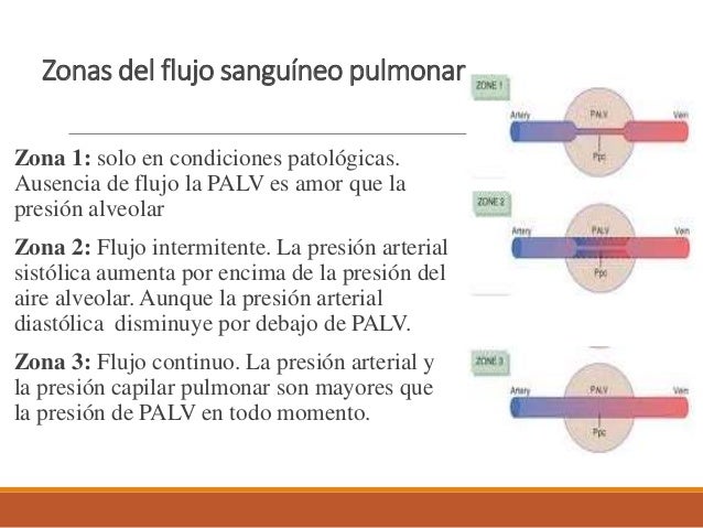 Circulacion Pulmonar Guyton Cap38
