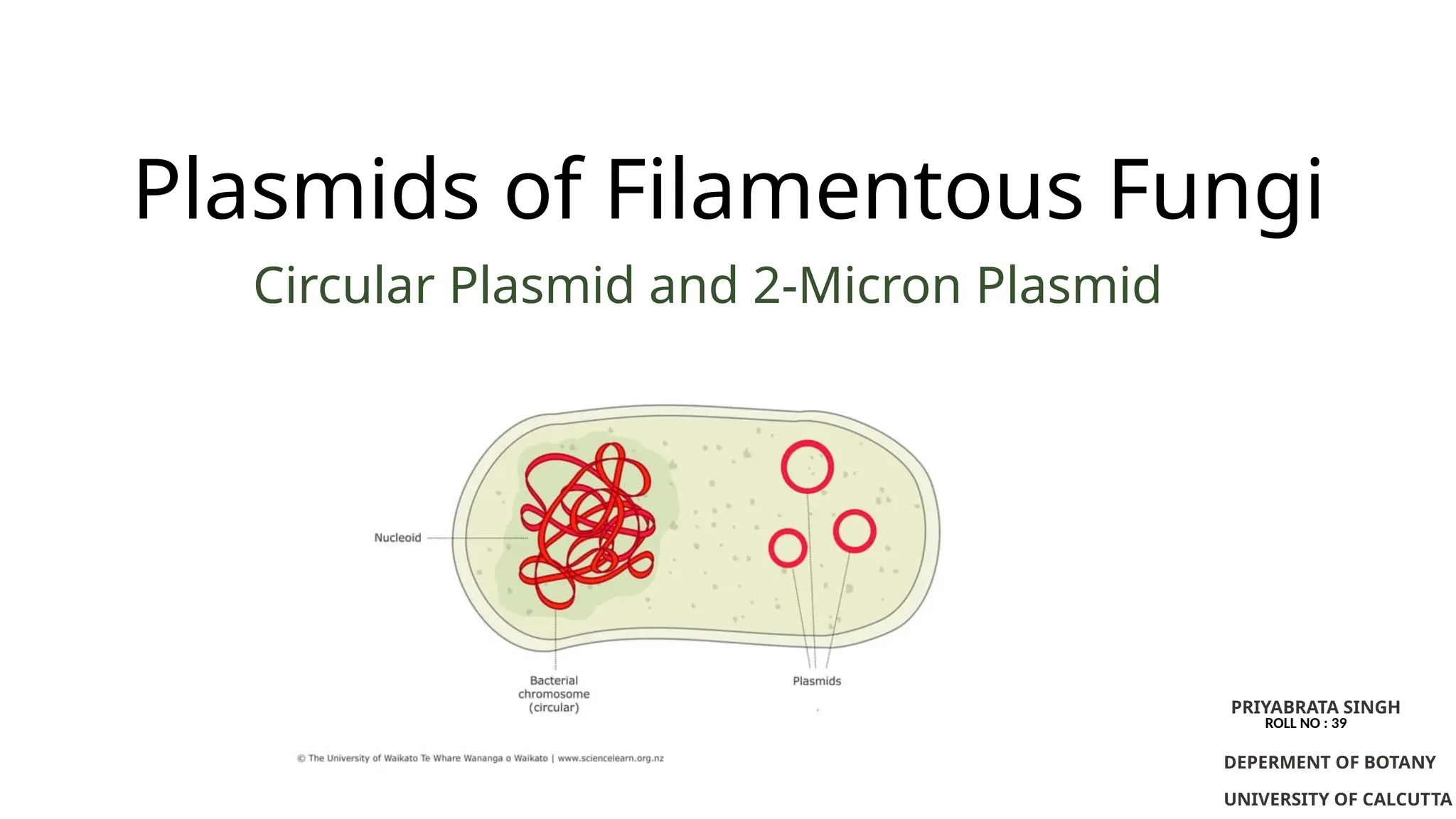 Circular-Plasmid-and-2-Micron-Plasmid.pptx