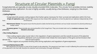 Circular-Plasmid-and-2-Micron-Plasmid.pptx
