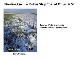 Circular buffer strips | PPTX