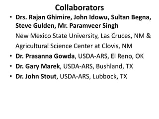 Circular buffer strips | PPTX