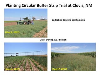 Circular buffer strips | PPTX