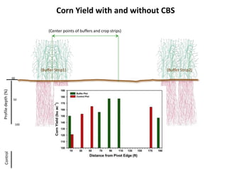 Circular buffer strips | PPTX