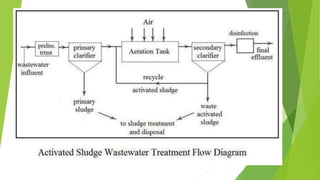Circular clarifiers | PPTX