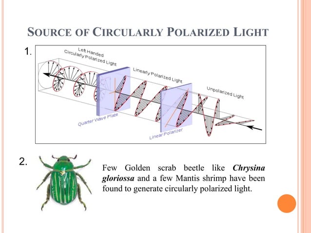 Circular dichroism in Biochemistryppt.ppt | Chemistry | Science