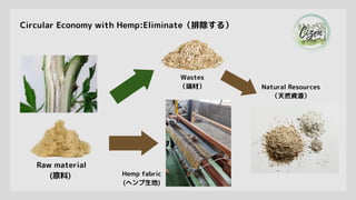 Circular Economy_NLI.pdf