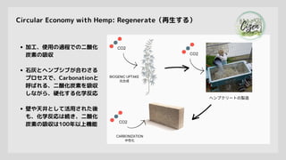 Circular Economy_NLI.pdf