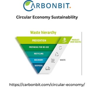 Circular Economy Sustainability.pdf
