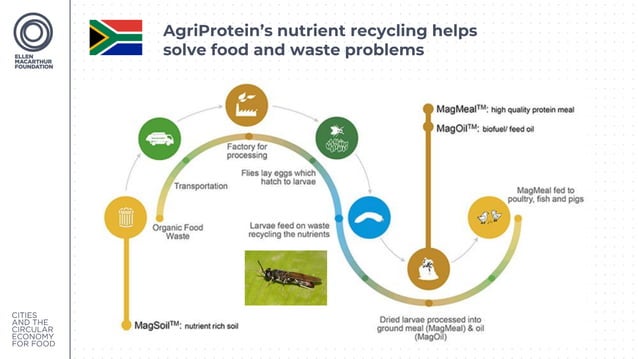 Circular food systems in cities Joss Bleriot wcef2018 | PPT