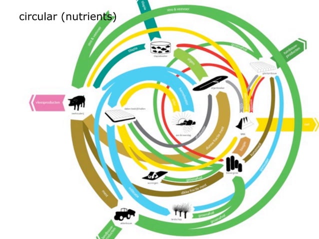 Circular governance emf | PDF | Science