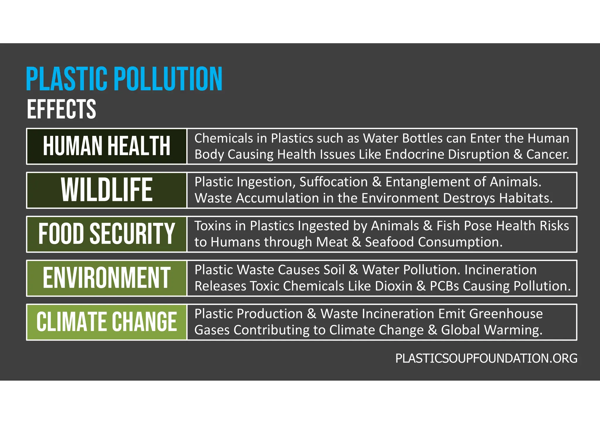 Circular Plastic Waste Management | PDF