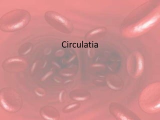 Circulatia | PPT