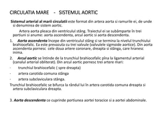 circulatia-sanguina-si circulatia-limfatica.ppt