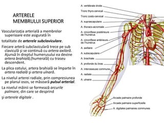 circulatia-sanguina-si circulatia-limfatica.ppt