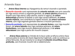 circulatia-sanguina-si circulatia-limfatica.ppt