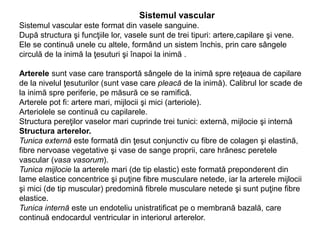 circulatia-sanguina-si circulatia-limfatica.ppt