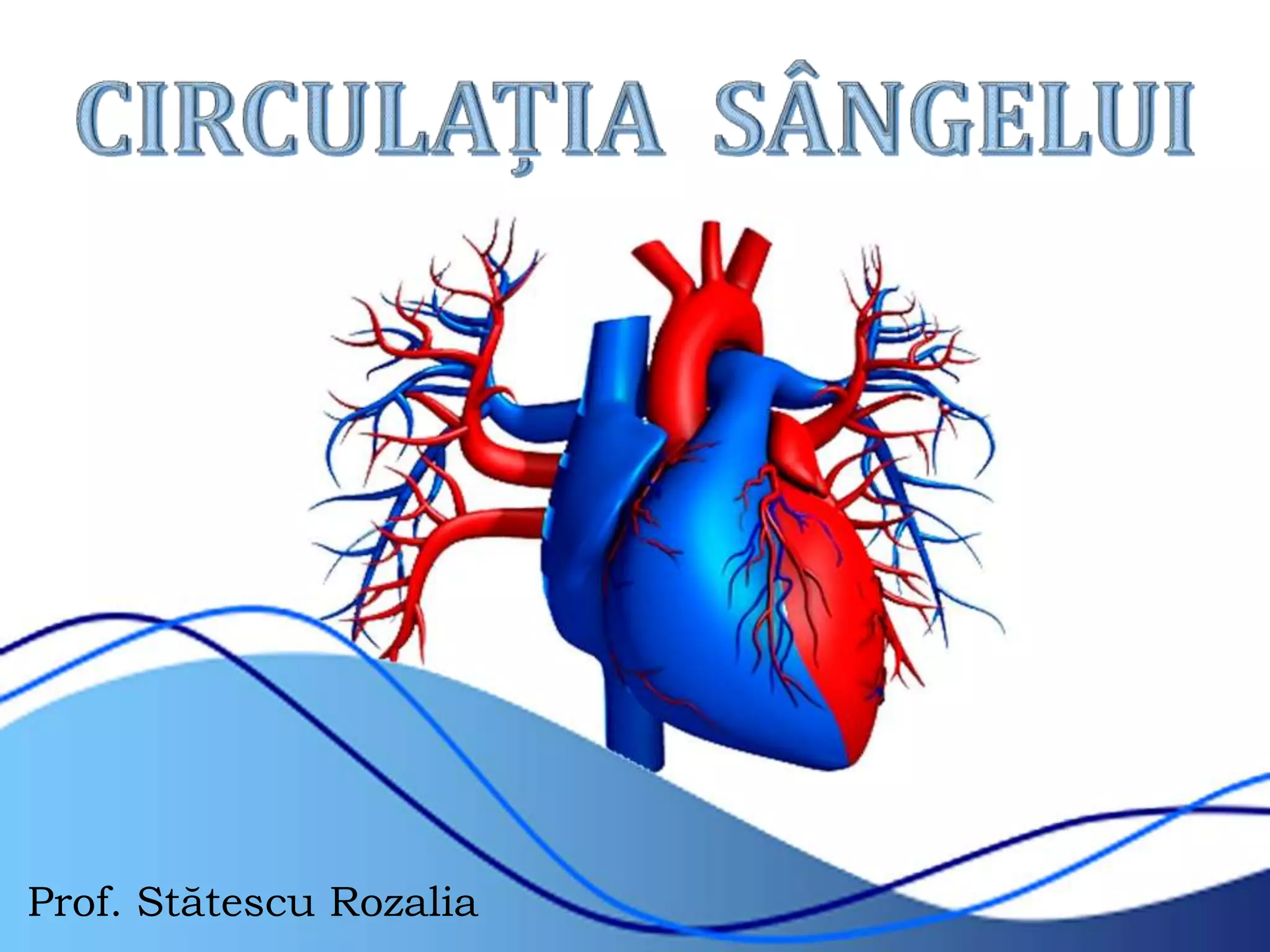 Circulatia sangelui | PPT