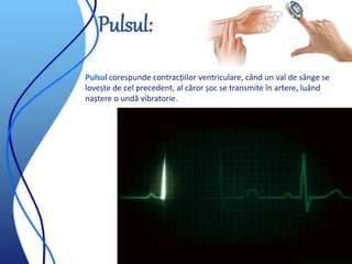 Circulatia sangelui | PPT