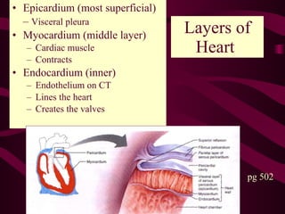 Circulation | PPT