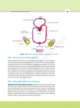 BODY BLOOD AND CIRCULATION _BODY FLUID | PDF