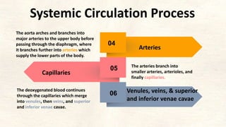 Circulation | PPTX