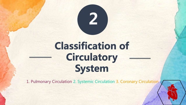 Circulation | PPT