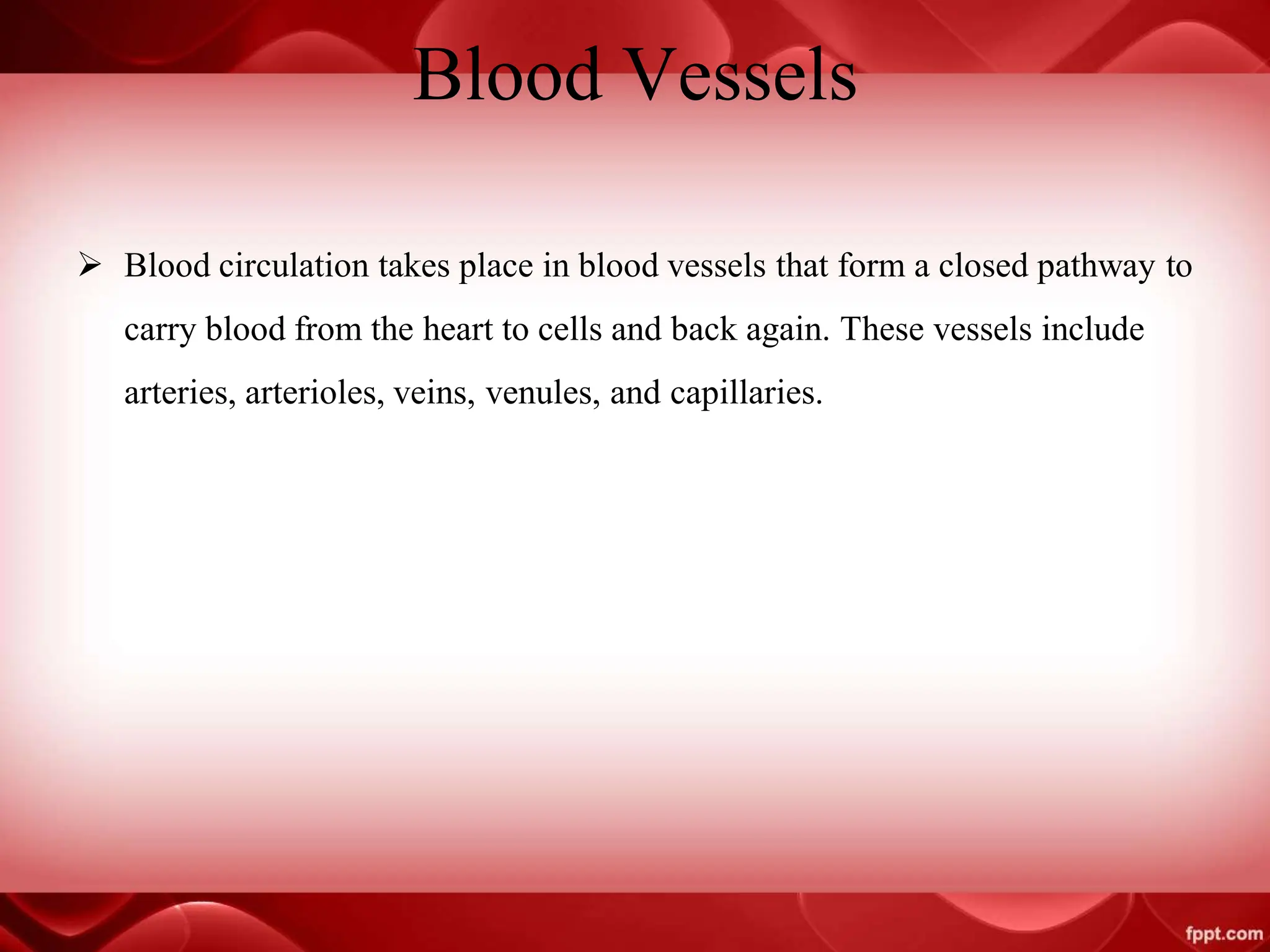 circulation.pdf for students to study an educate themselves | PPT