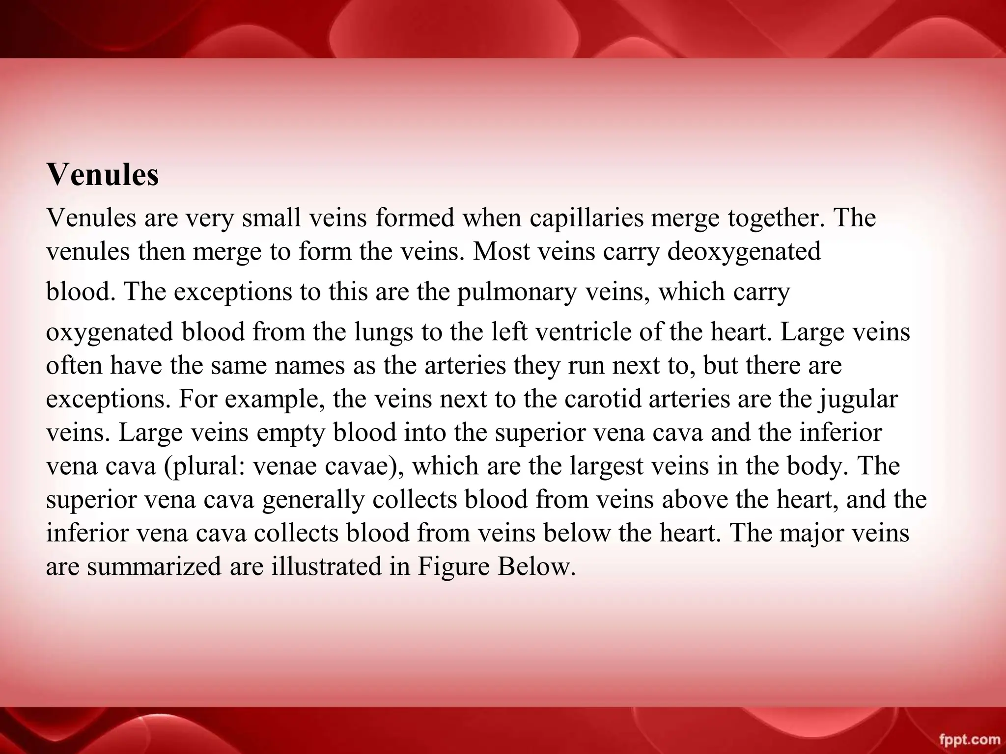 circulation.pdf for students to study an educate themselves | PPT