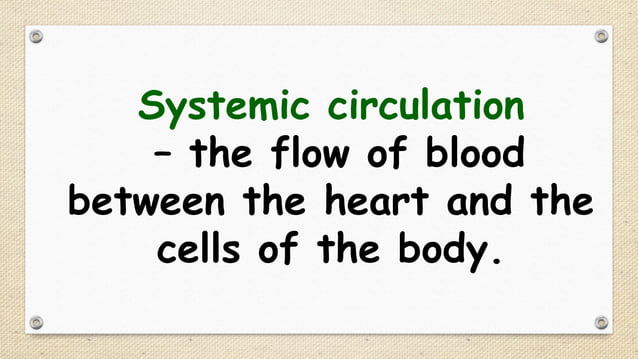 circulation.pptxndkdkdkkckclcllflflflflfllfl | PPT
