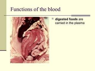 Circulation.ppt.. blood circulation..... | PPT