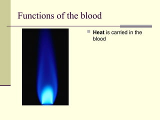 Circulation.ppt.. blood circulation..... | PPT