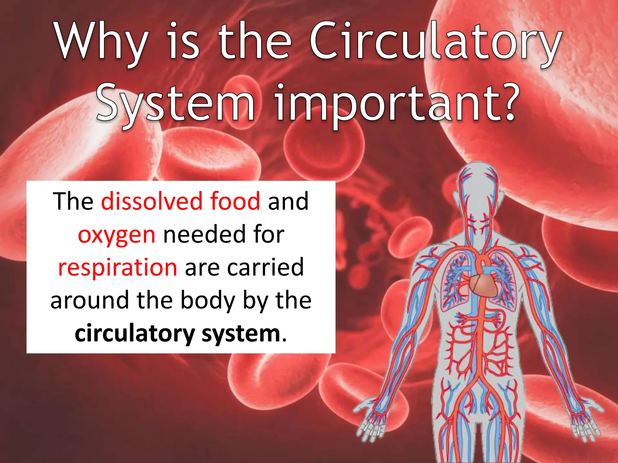 Heart and Blood Circulation in the Human Systemppt | PPT