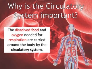 Heart and Blood Circulation in the Human Systemppt | PPT