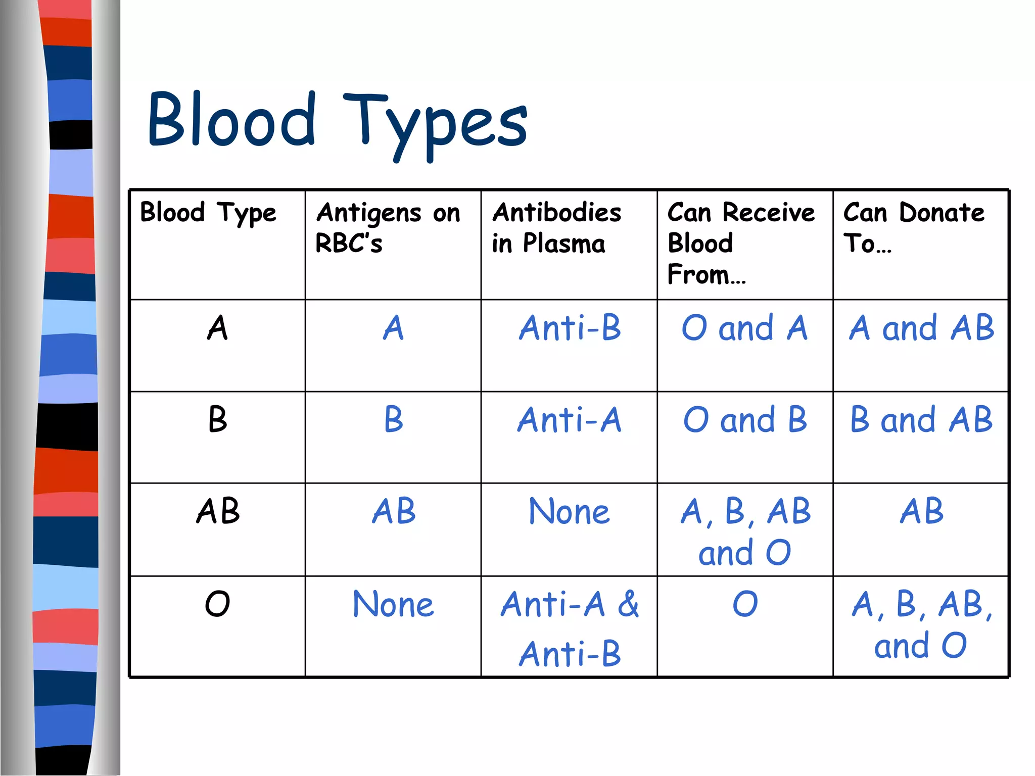 Circulation human heart shortened and revised | PPT