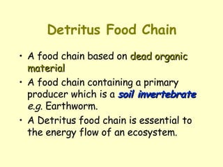 Circulation Of Nutrients | PPT