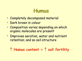 Circulation Of Nutrients | PPT