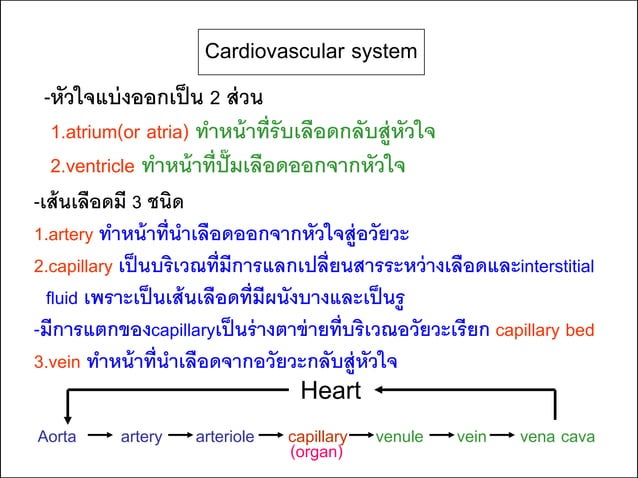 ชีววิทยาเรื่องระบบไหลเวียนเลือด circulatory system | PDF
