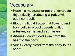 Circulation 1-1B | PPT