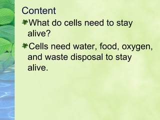 Circulation 1-1B | PPT