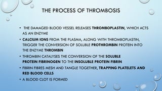 A level/AS LEVELBIOLOGY -Human Circulatory systempdf | PPT