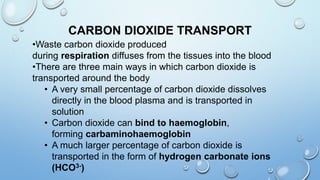 A level/AS LEVELBIOLOGY -Human Circulatory systempdf | PPT