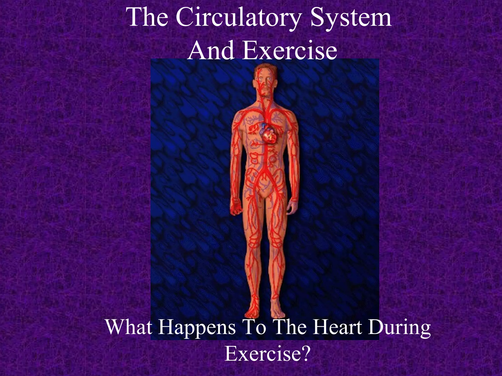 Circulation and exercise | PPT | Heart and Cardiovascular Diseases ...