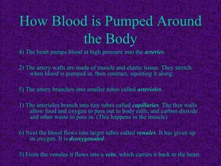 Circulation and exercise | PPT | Heart and Cardiovascular Diseases ...